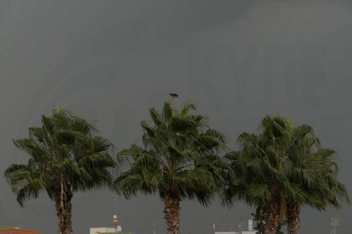 Yellow alert issued for impending severe weather in Cyprus