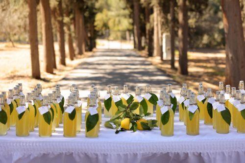 The Presidential Palace, "an example" for the transition to the ...