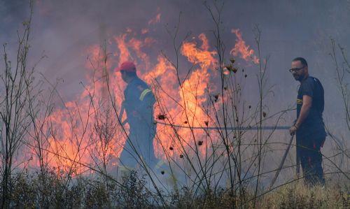 Πυρκαγιά στην Τρίπολη, συνολικά 58 δασικές πυρκαγιές στην Ελλάδα σε ένα ...