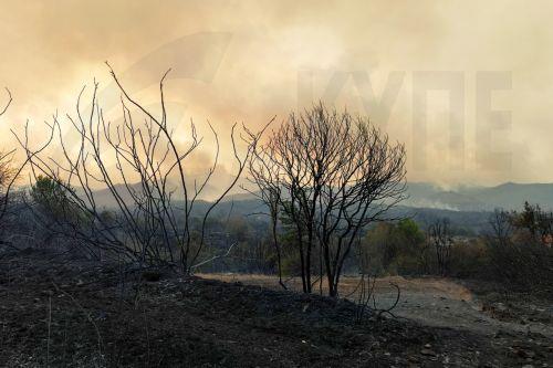 Σε νέα περιοχή μετακινήθηκε και επιχειρεί η κυπριακή αποστολή
