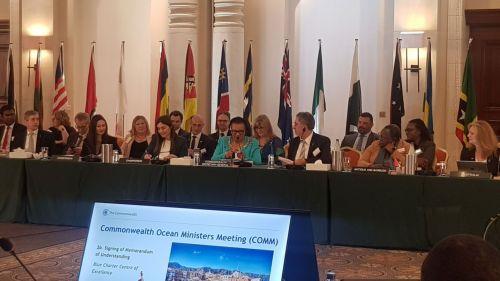 Commonwealth countries can lead the charge for better global ocean ...