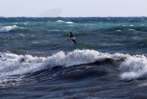 Τμήμα Μετεωρολογίας - Πρόγνωση καιρού για τη θαλάσσια περιοχή της ...